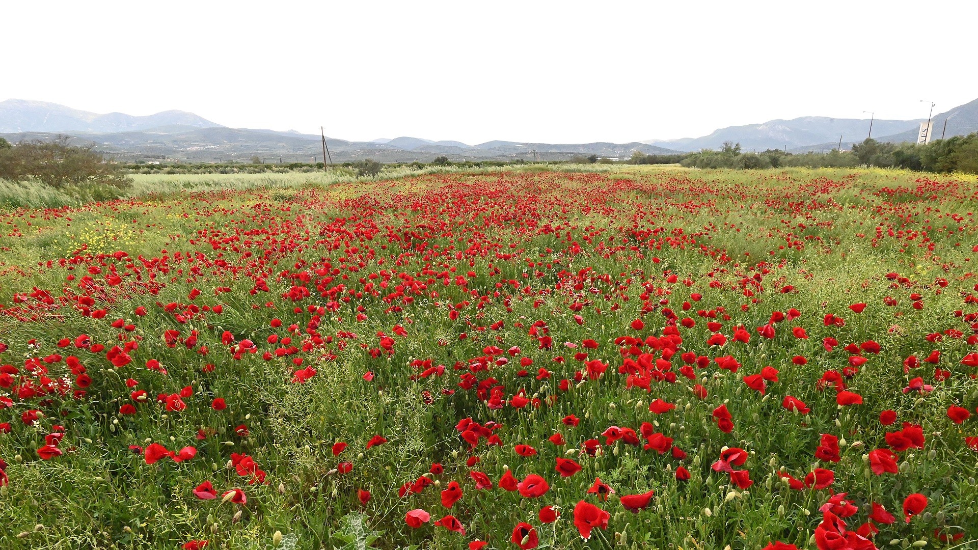 Καιρός: Αλλαγή σκηνικού το Σαββατοκύριακο – Έρχεται «μίνι» καλοκαίρι με ...