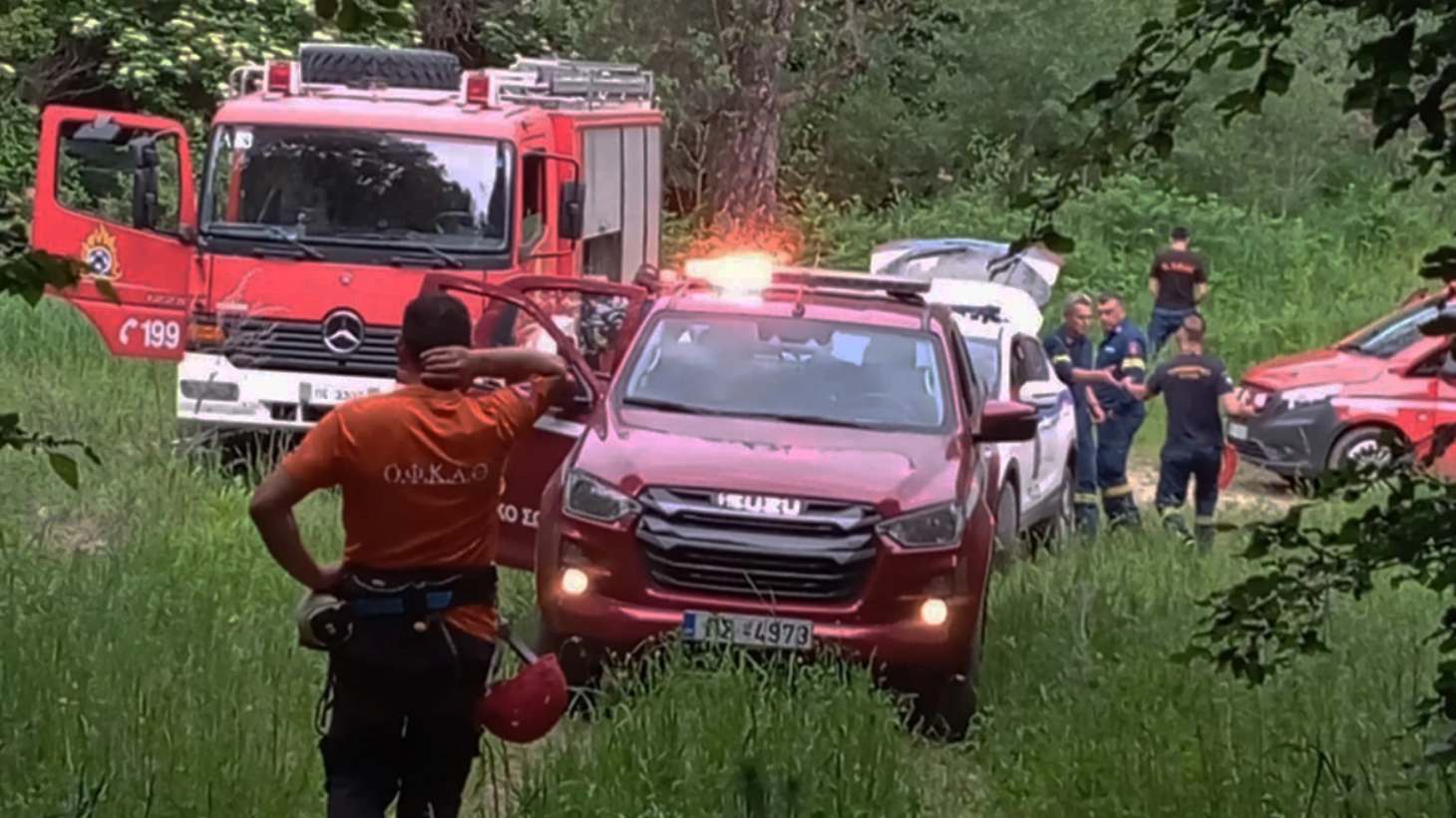 Επίθεση από αρκούδα στη Δράμα: Βρέθηκε ο ένας ορειβάτης, αγνοείται ...
