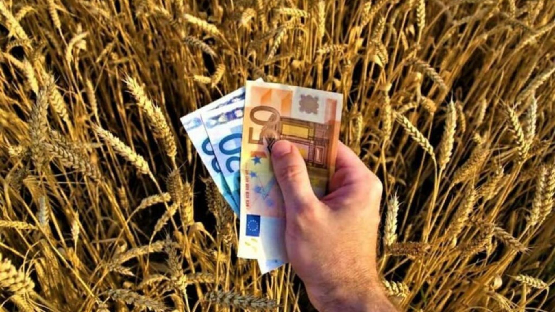 Στη Βουλή η ογκώδης δικογραφία για το σκάνδαλο του ΟΠΕΚΕΠΕ – Θα ...