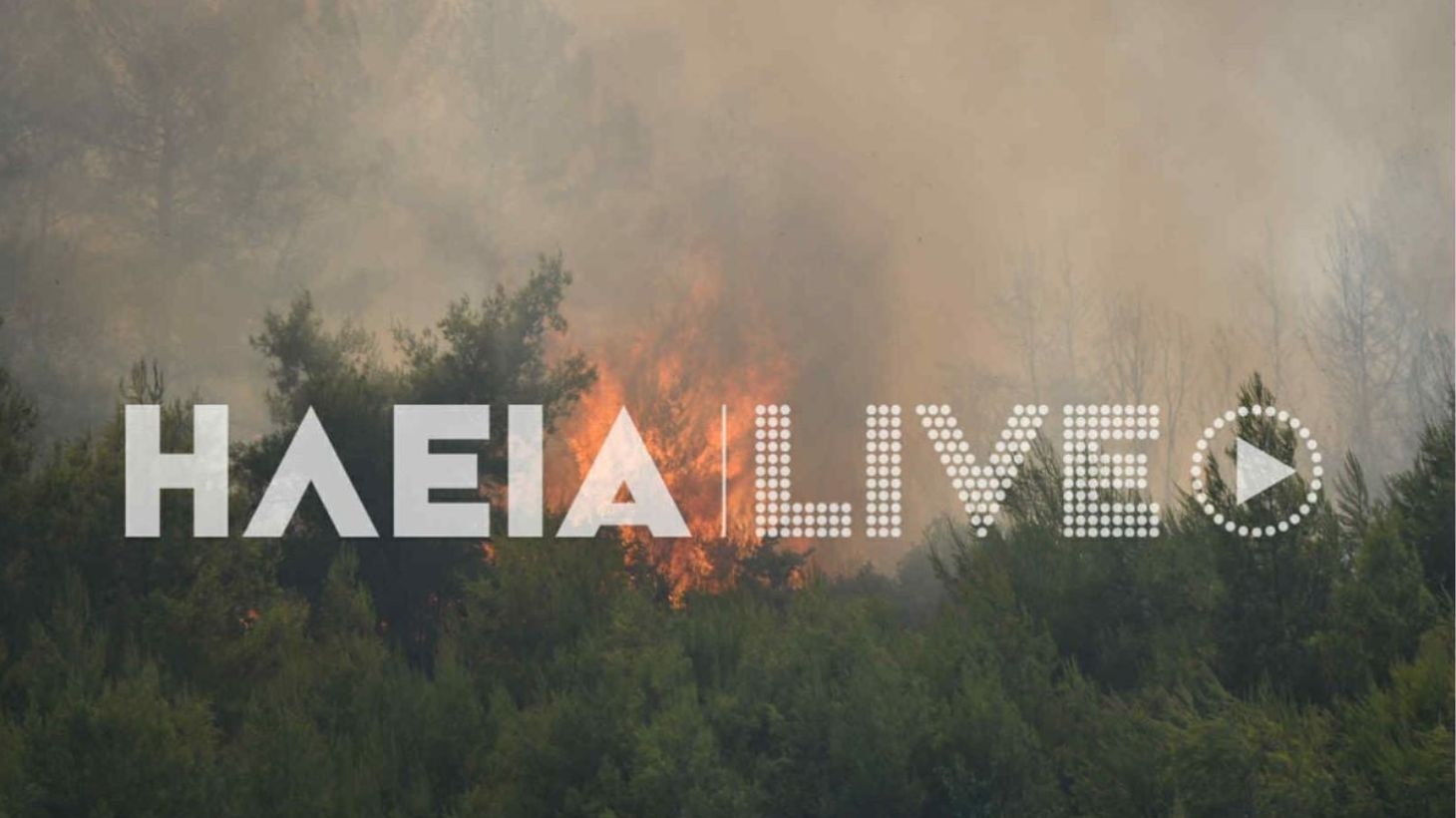 Αμαλιάδα: Ανεξέλεγκτη η φωτιά στο Γεράκι – Ενισχύθηκαν οι δυνάμεις με ...