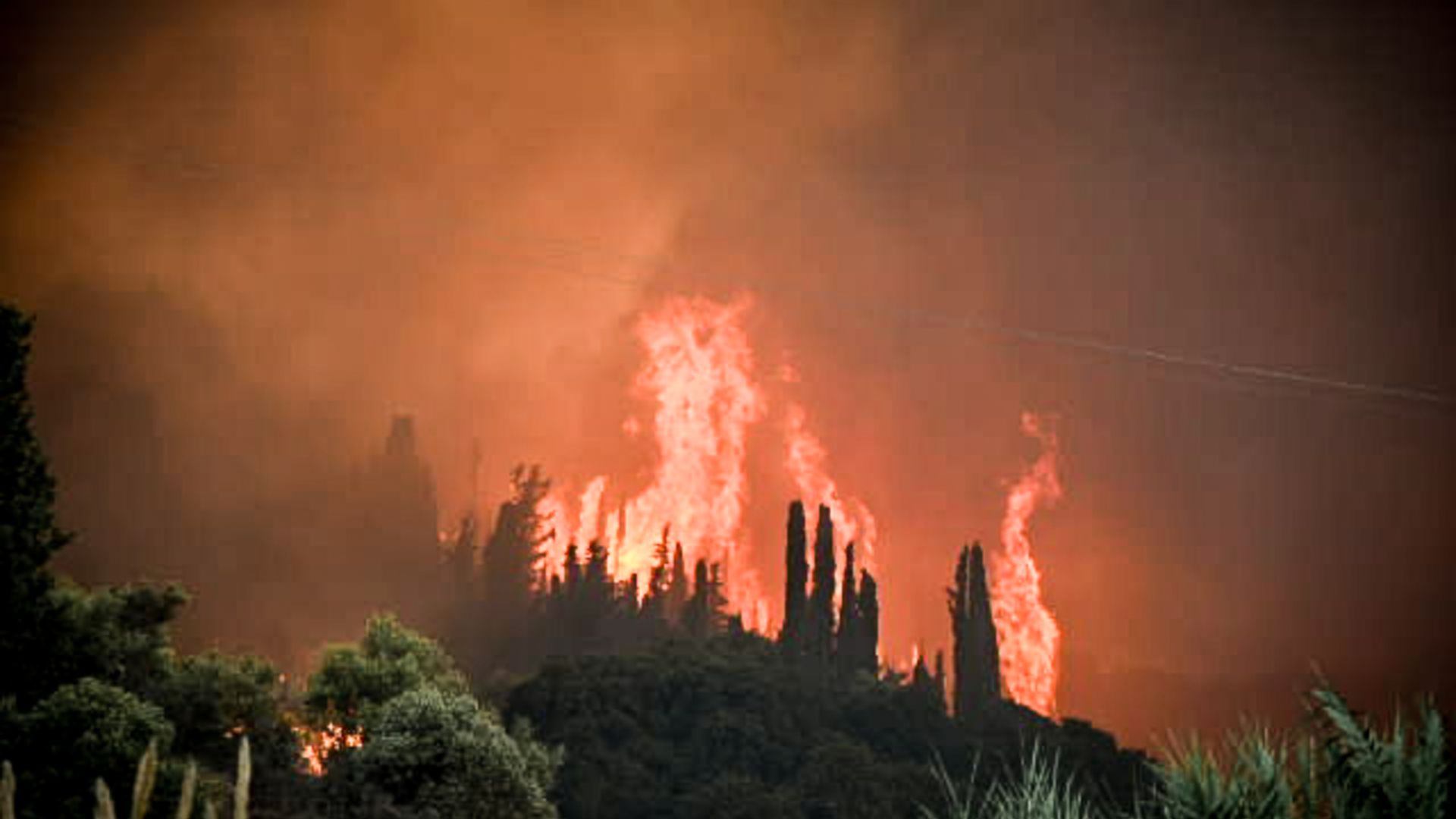 Πυρ ομαδόν της αντιπολίτευσης κατά της κυβέρνησης για τις φωτιές και ...