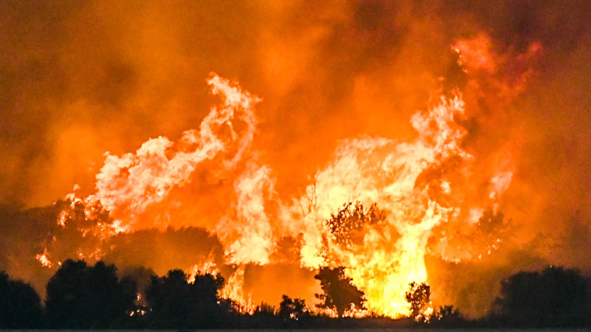 Meteo: Οι εκτάσεις που έχουν επηρεαστεί στα 6 μεγάλα περιστατικά ...