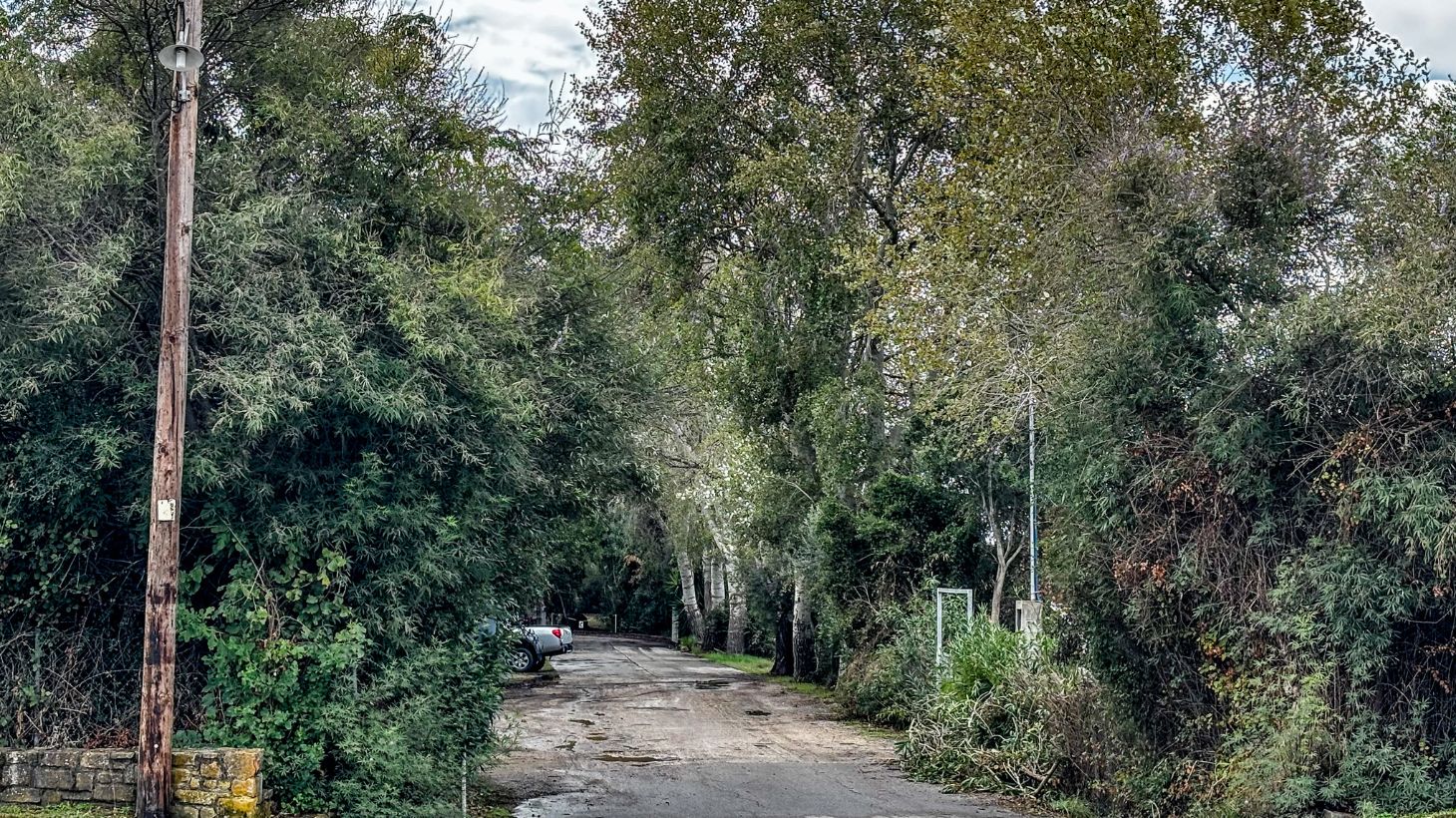 Έγκλημα στην Φοινικούντα: Στο «φως» τα μυστικά της διαθήκης του ...