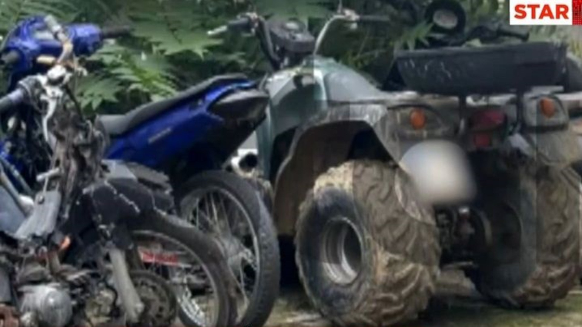 Αχαΐα: Σε στάνη έκρυψαν τη «γουρούνα» που επέβαινε μαζί με τον θείο του ...