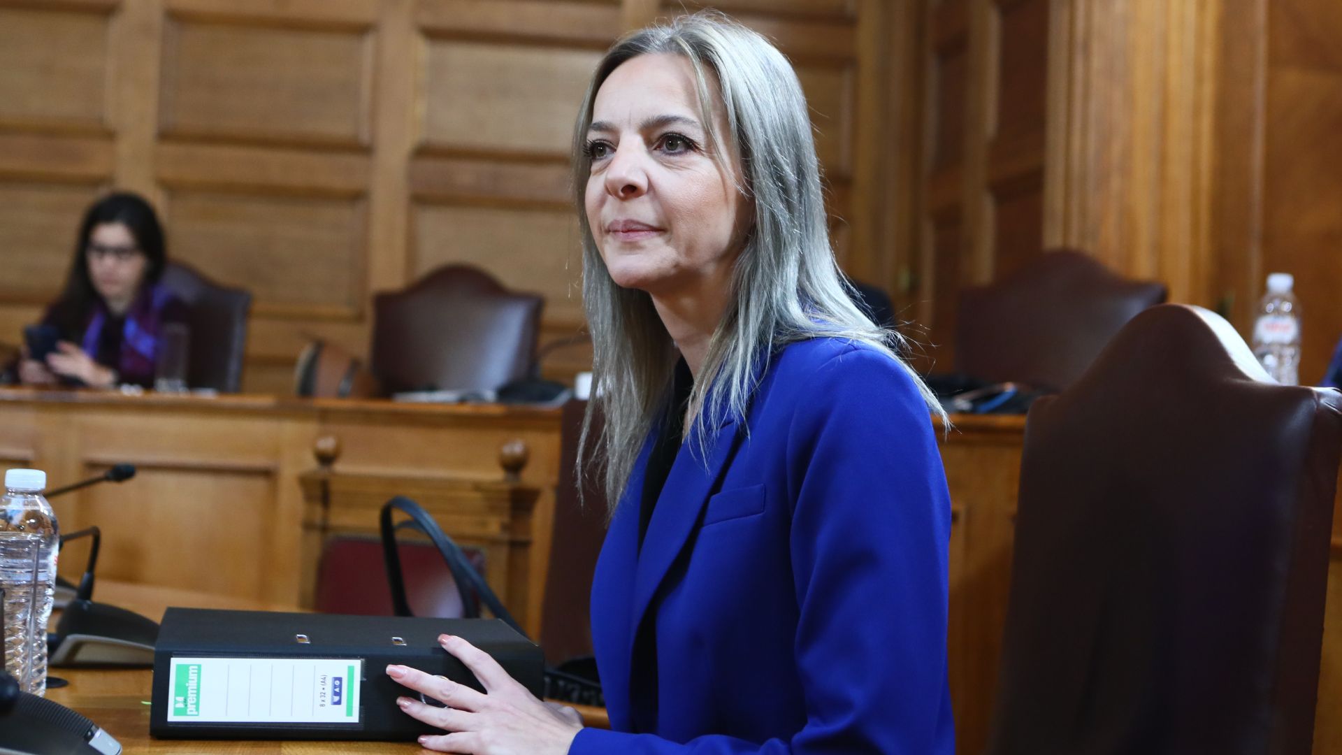 Στην εξεταστική για τον ΟΠΕΚΕΠΕ η Σεμερτζίδου: «Δέχομαι απειλές – Ποια ...