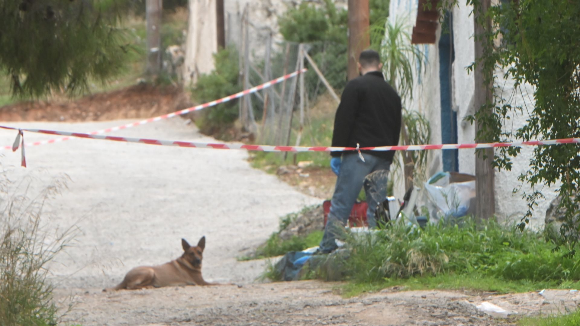 Δολοφονία στη Σαλαμίνα: Εθισμένη στον τζόγο η νύφη του θύματος, την ...