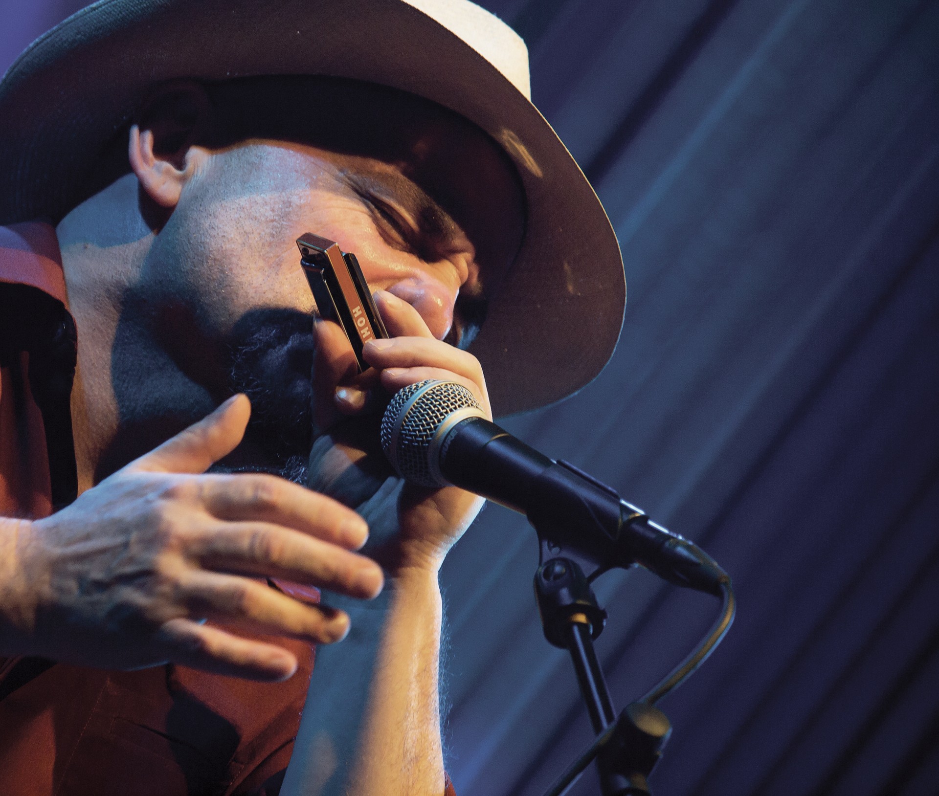 Matthew Skoller & Chicago Wind feat. Precious Taylor «Great Chicago ...