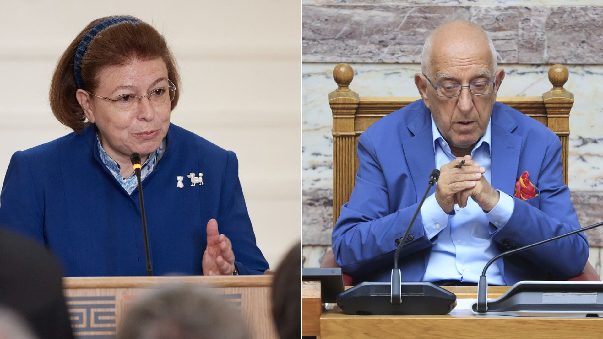 Καισαριανή: Από το υπουργείο Πολιτισμού θα αποδοθούν στη Βουλή οι ...