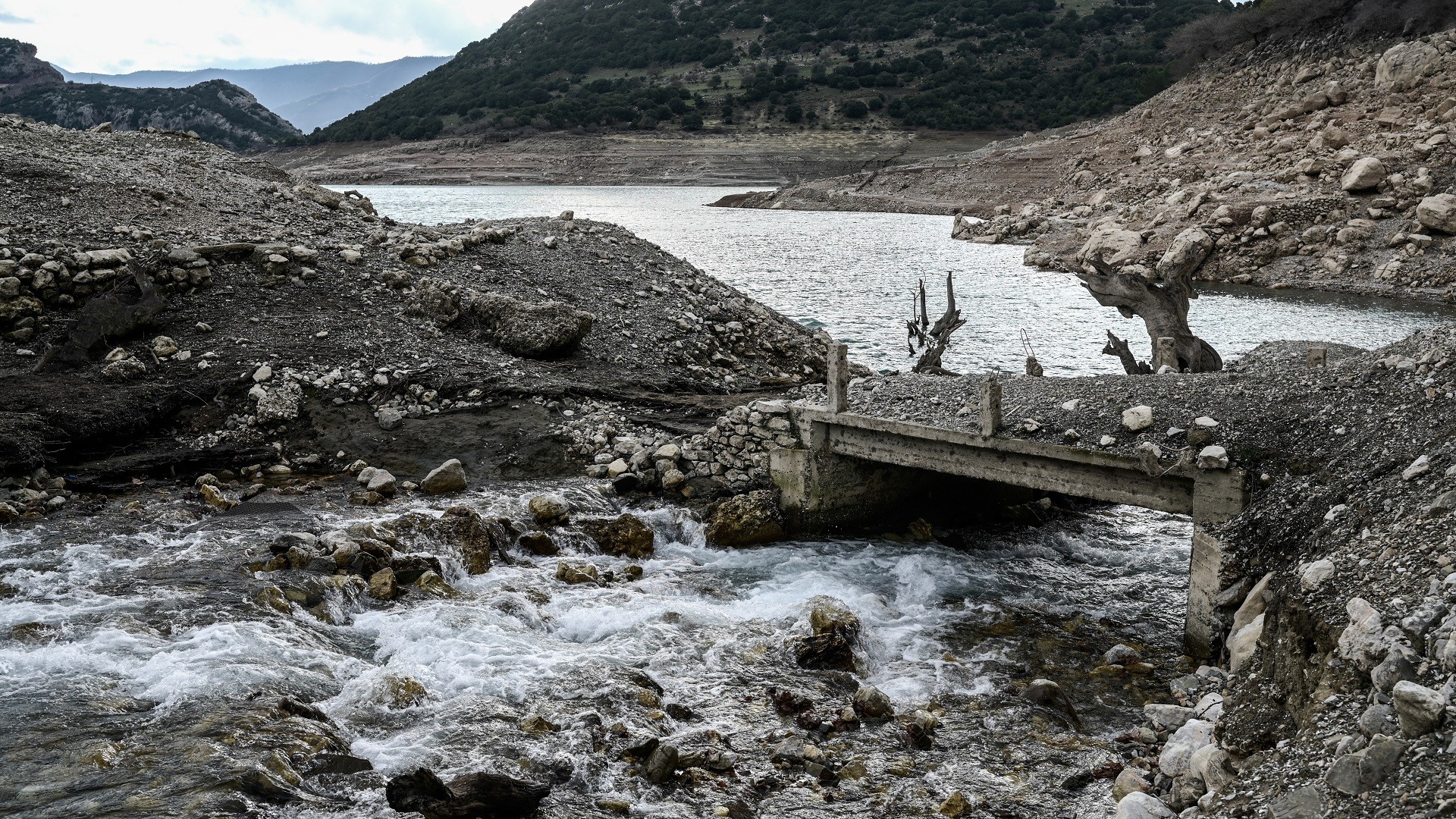 ΦΩΚΙΔΑ | topontiki.gr